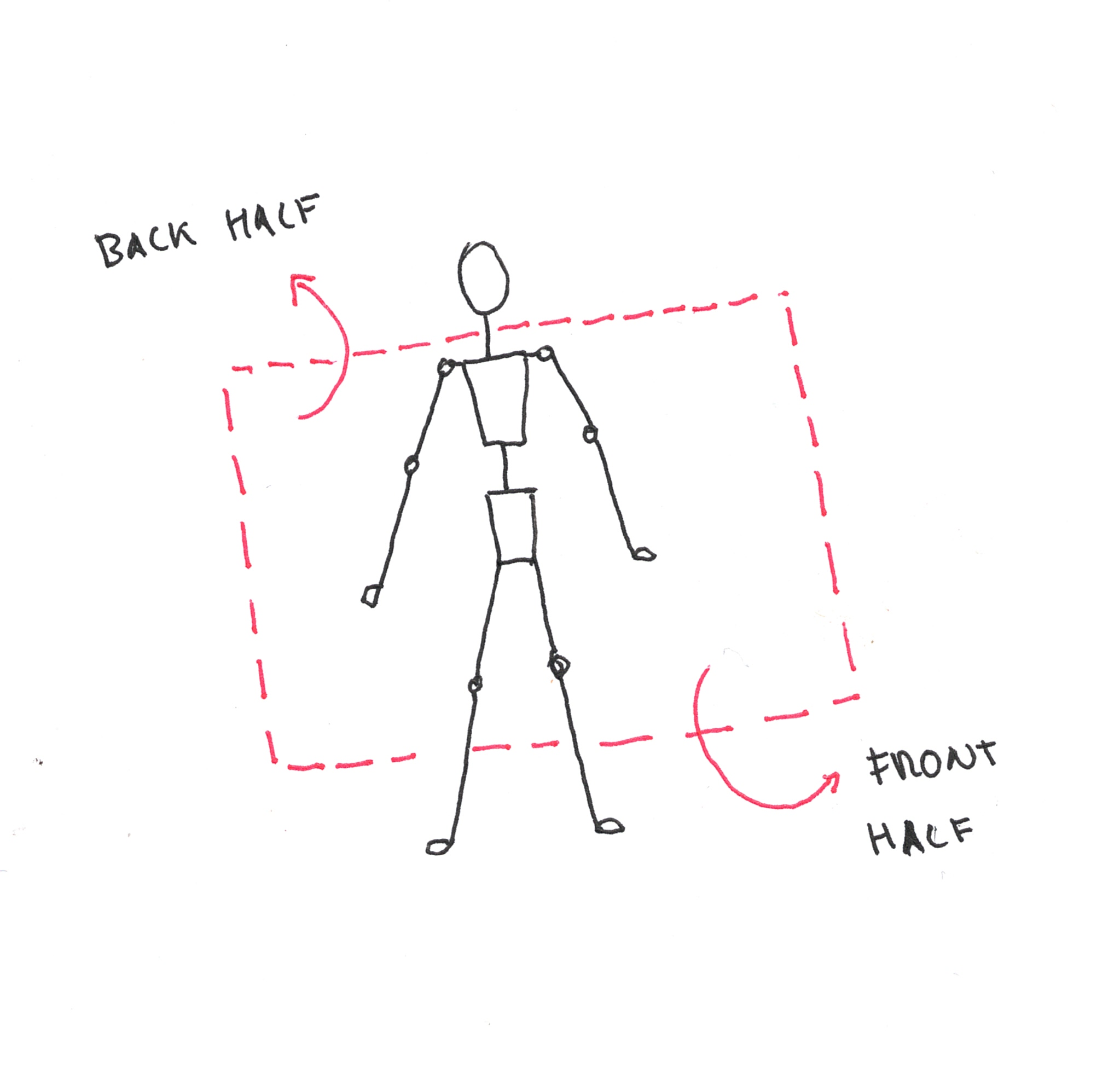 Yoga Anatomy Series |Part 1: Body Language & Movement Planes